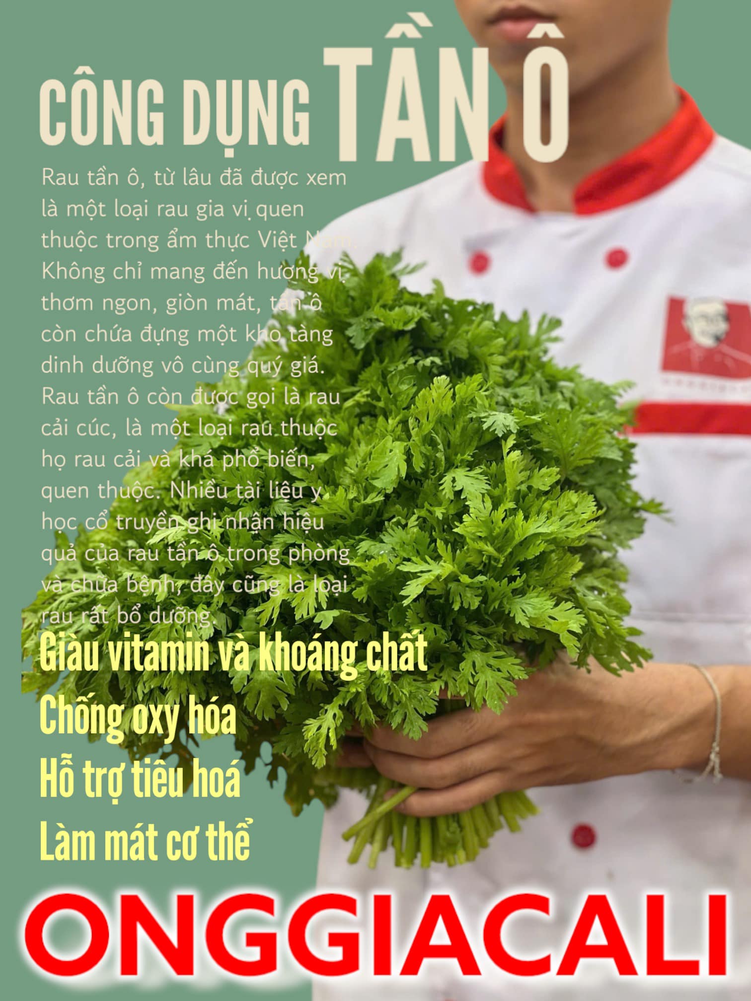 Trang chủ - Ông già cali